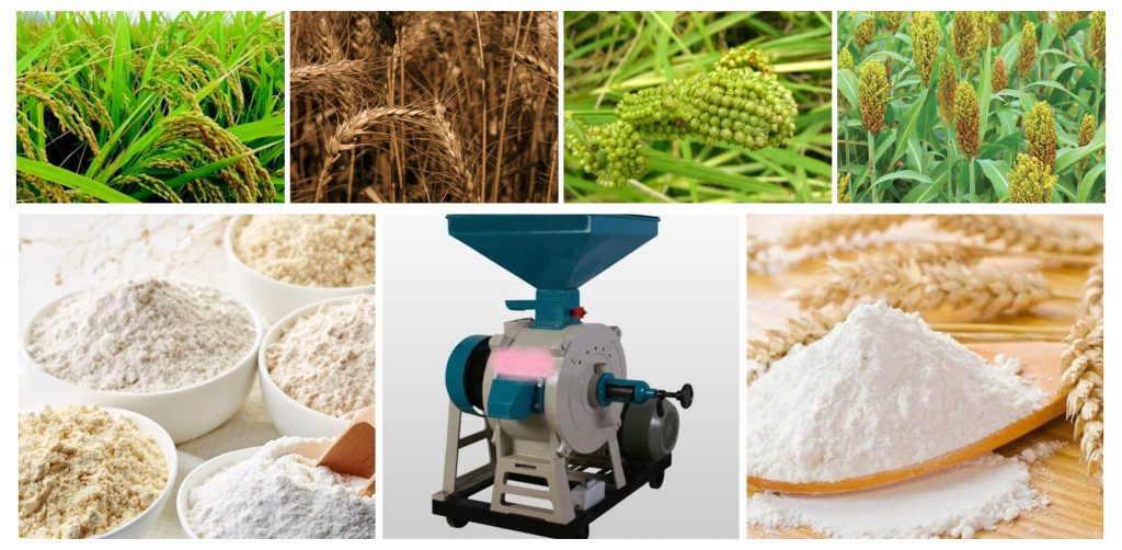 Flours – CHETAN FOODS